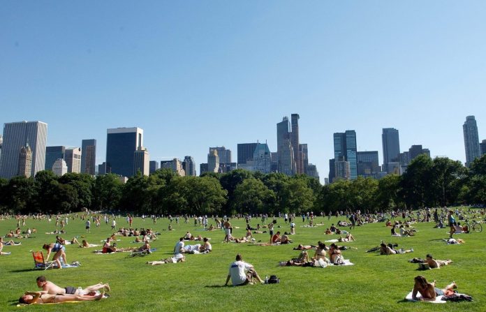 Central Park, el parque más famoso del cine, cumple 60 años como ...